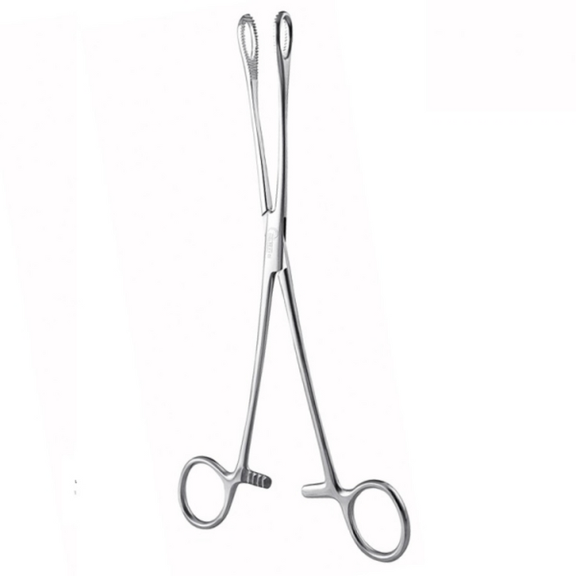 Pinza de aro recta (Foerster) 24CM / LI-PA024 – LeDoct Insumos médicos
